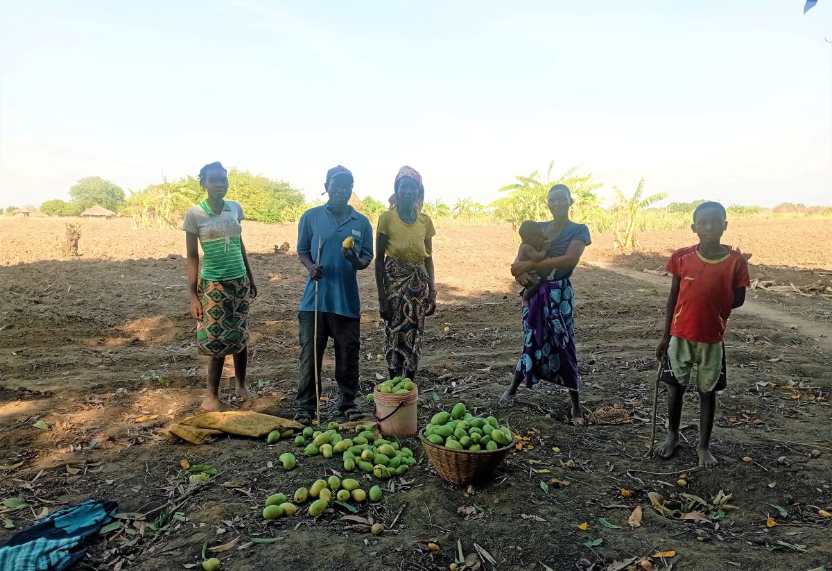 Défice alimentar aflige Mutarara - Jornal Notícias