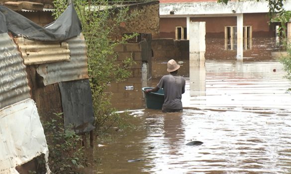 Mais de 50 casas inundadas em Massingir - Jornal Notícias